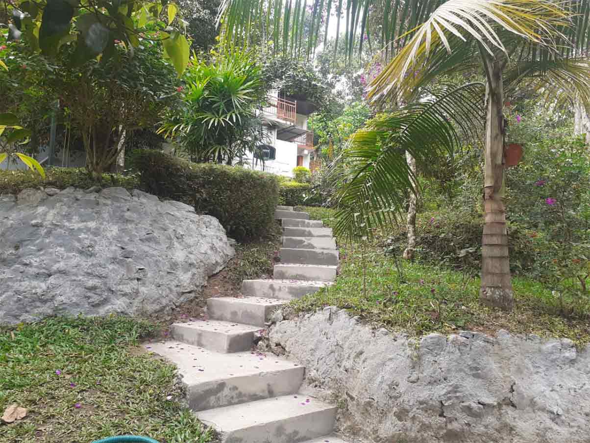 Gallery | Mushroom Valley Munnar Cottage